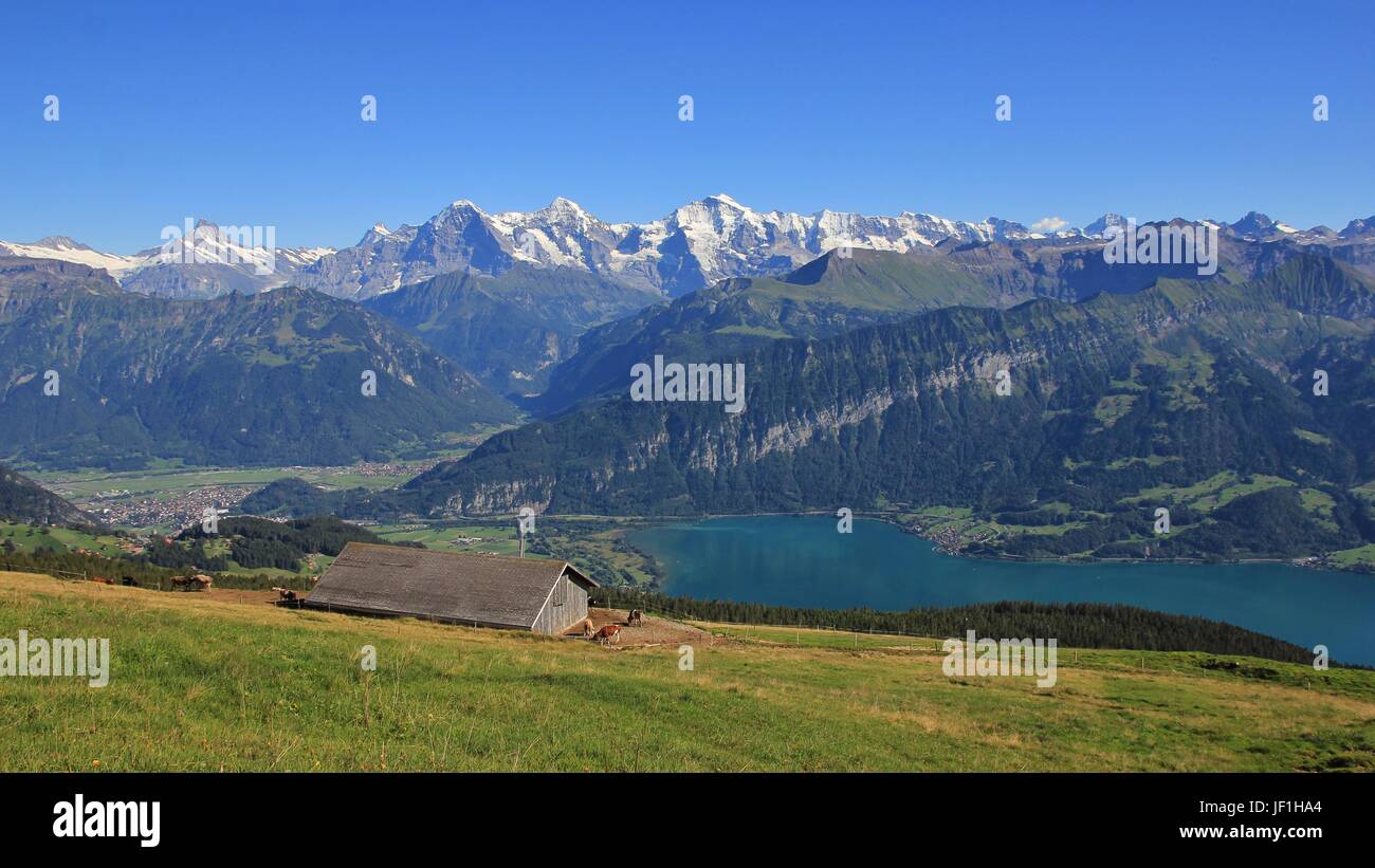 Summer day in the Bernese Oberland Stock Photo - Alamy