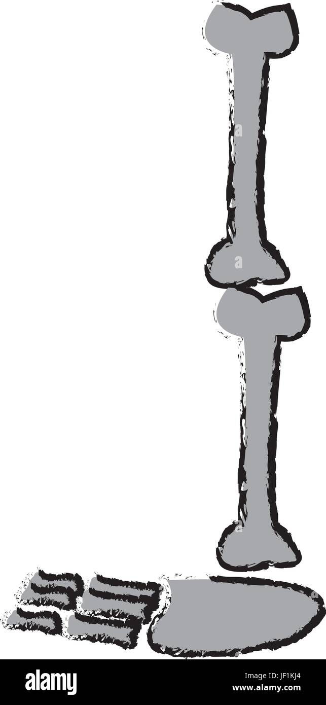 cartoon leg human bone foot Stock Vector Image & Art - Alamy