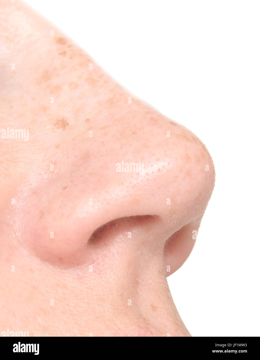 woman nose isolated Stock Photo - Alamy
