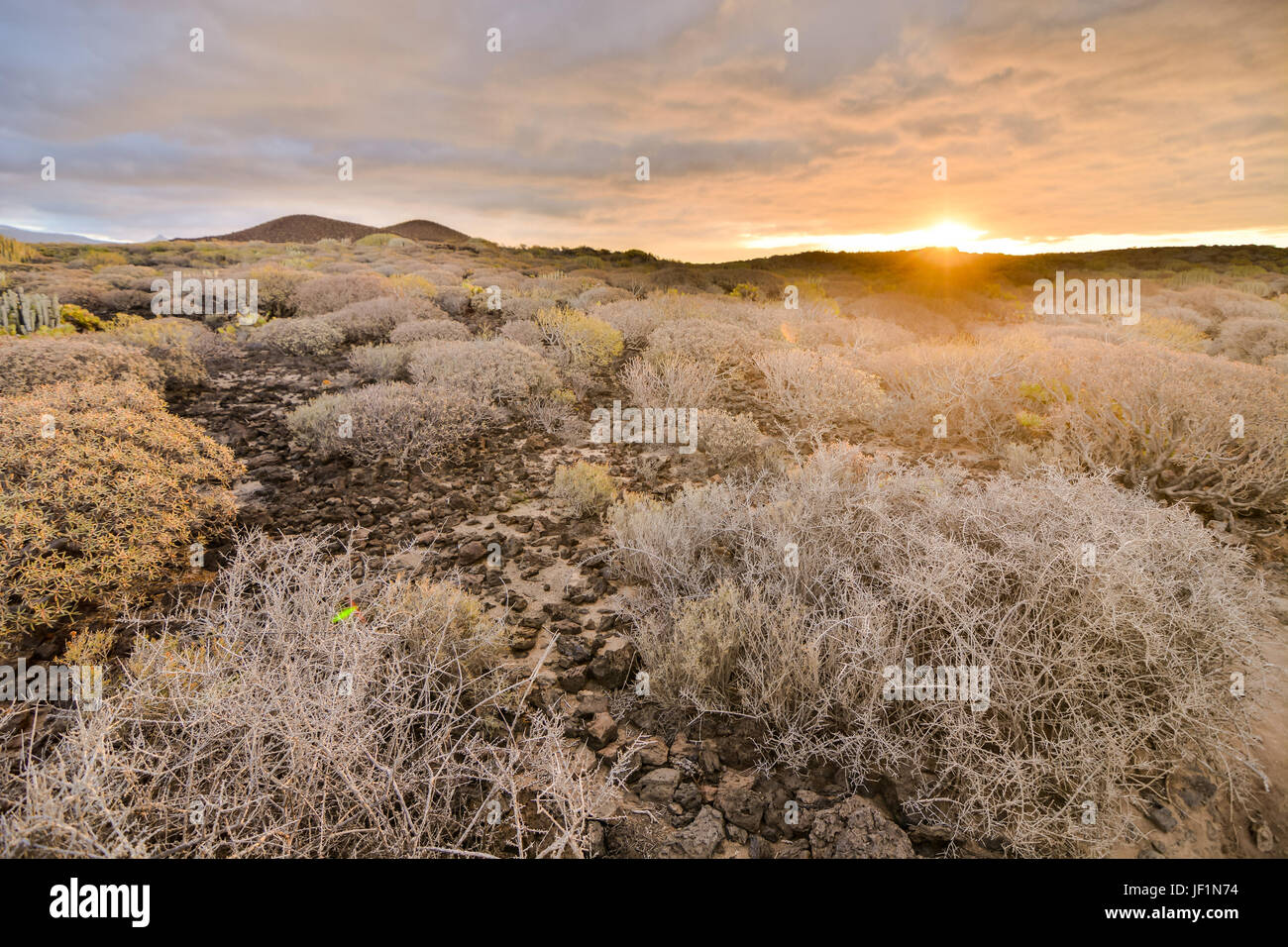 Dry Desert Landscape Stock Photo - Alamy