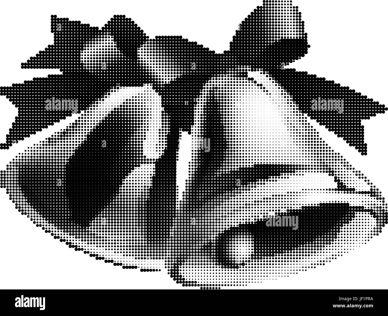 Celebrate student Black and White Stock Photos & Images - Alamy