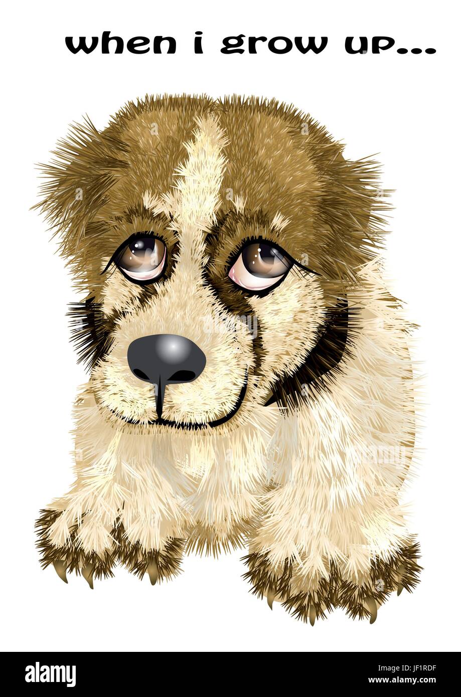 isolated, emotions, animal, pet, fur, dog, beige, puppy, cut ...