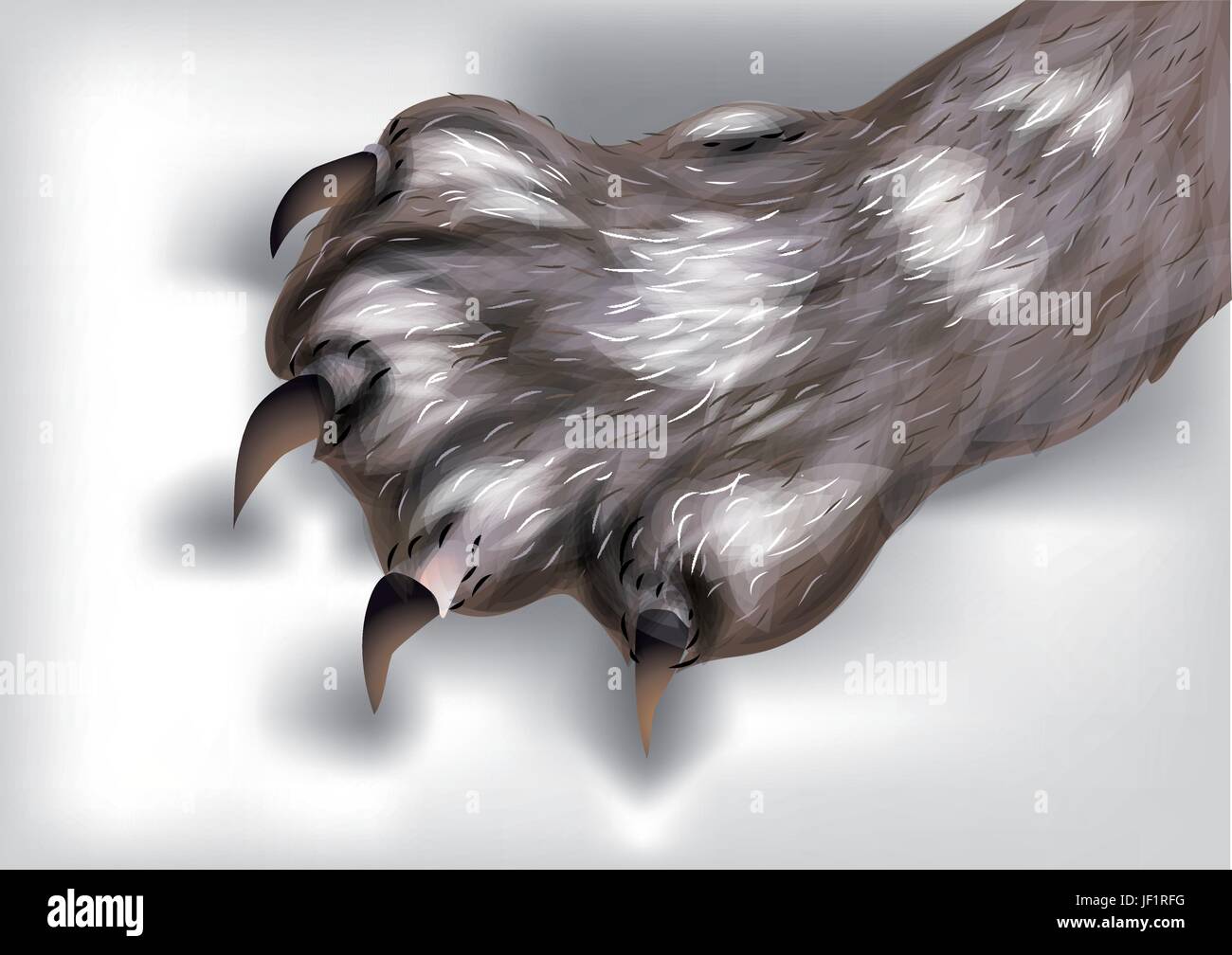 Tabby details Stock Vector Images - Alamy