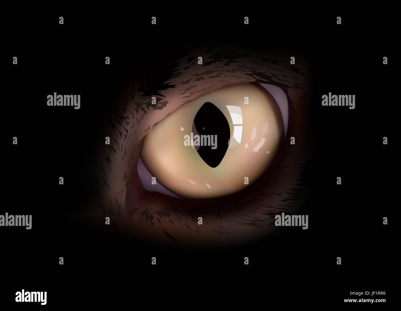 Macro cat eye Stock Vector Images - Alamy