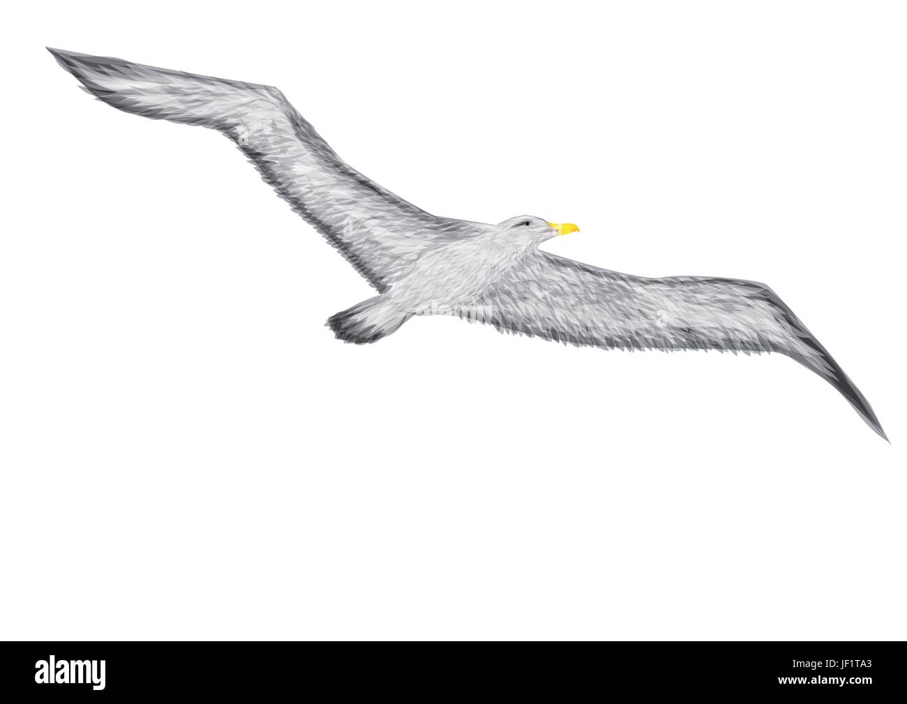 Illustration albatross hi-res stock photography and images - Alamy