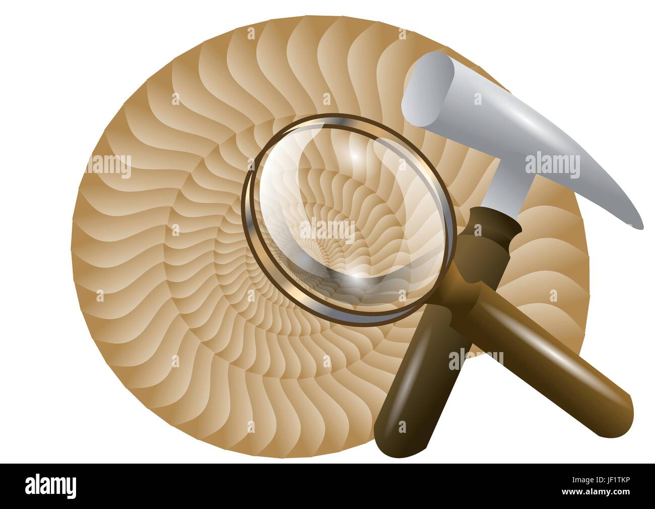 Shell prehistoric Stock Vector Images - Alamy