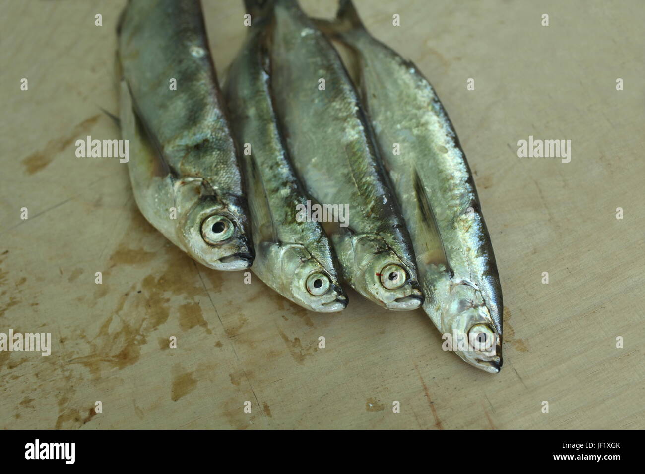 Sabrefish hi-res stock photography and images - Alamy