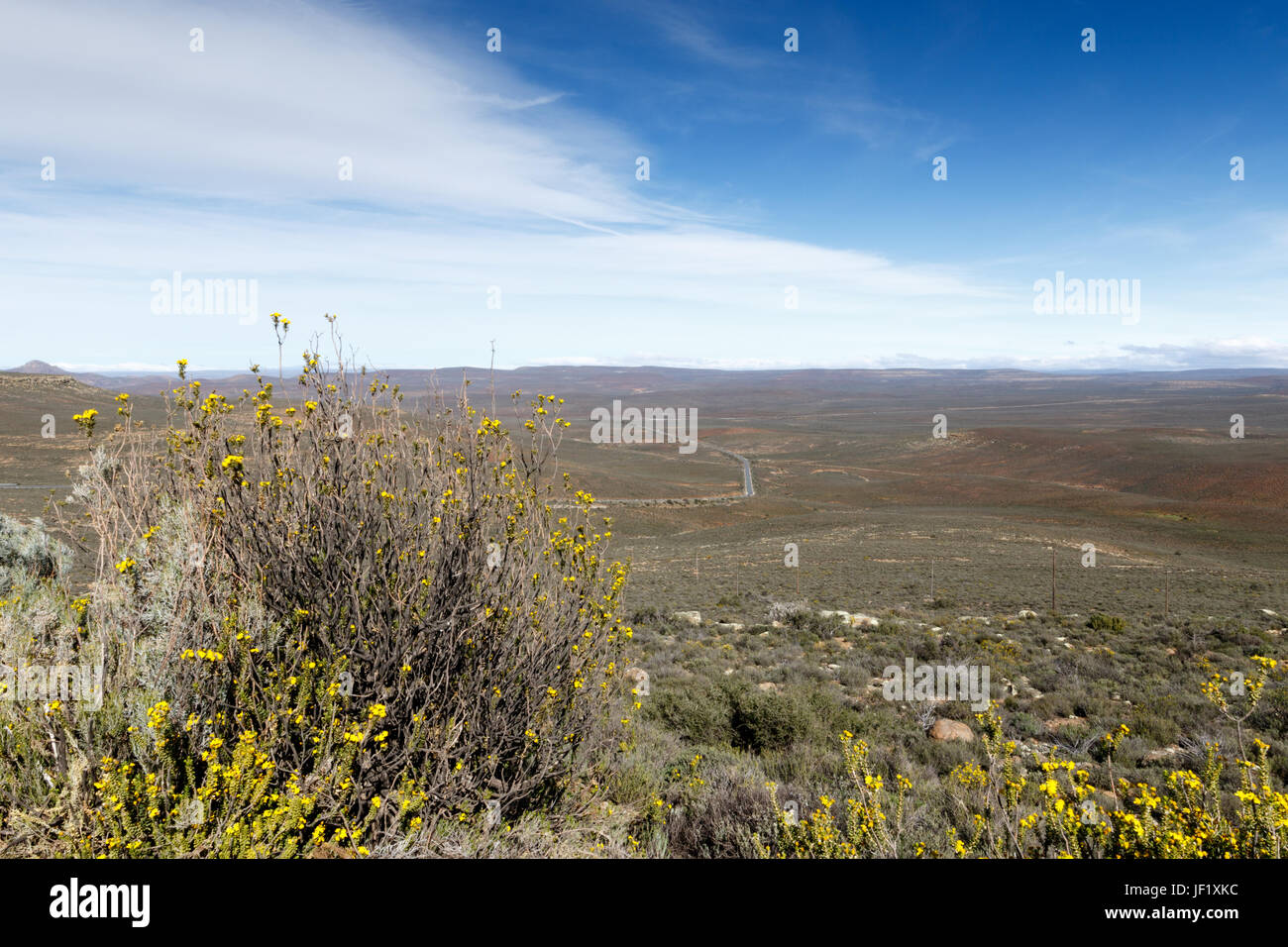 South african astronomical observatory hi-res stock photography and ...
