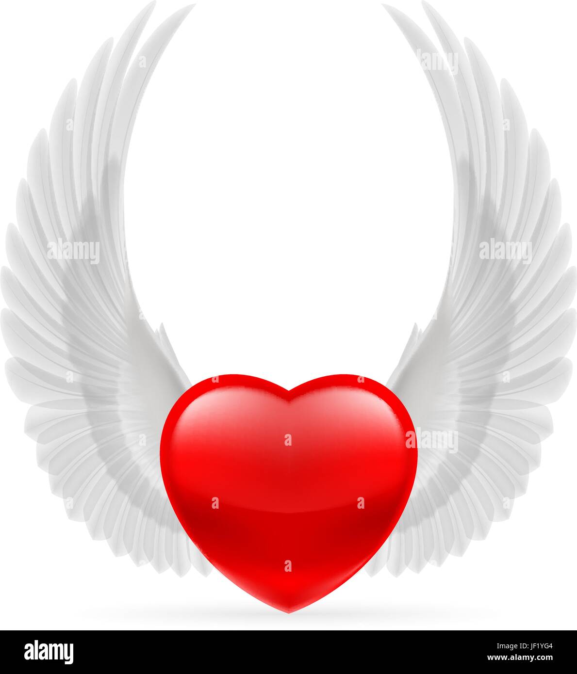 beautiful, beauteously, nice, art, isolated, model, design, project ...