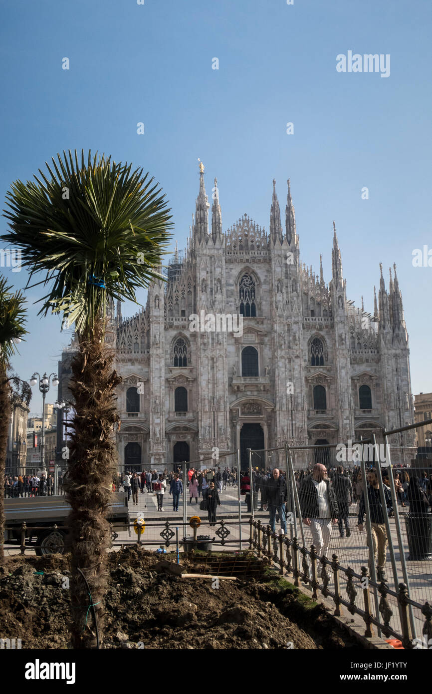 Piazza duomo palms hi-res stock photography and images - Alamy
