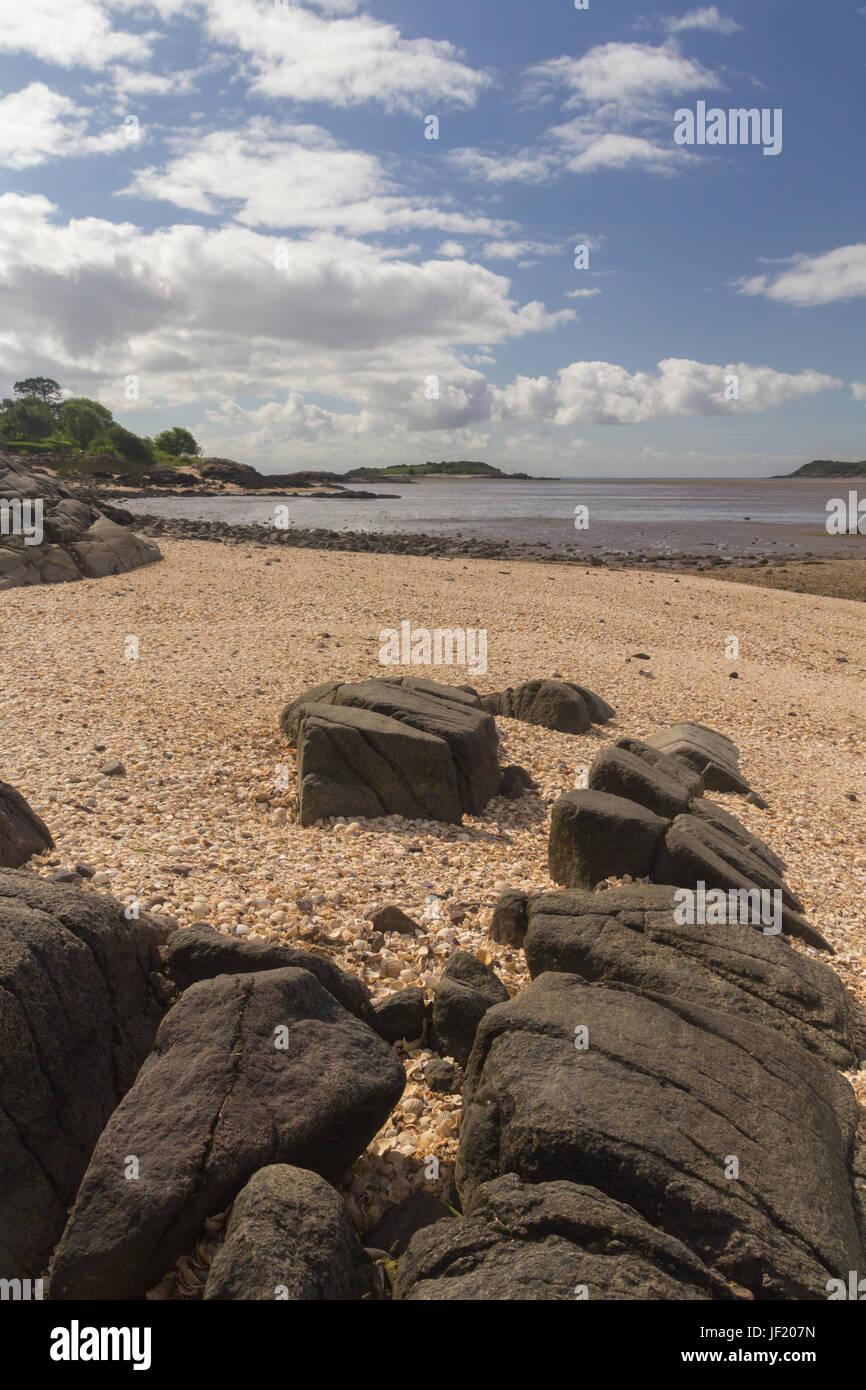 Cockle shell beach hi-res stock photography and images - Alamy