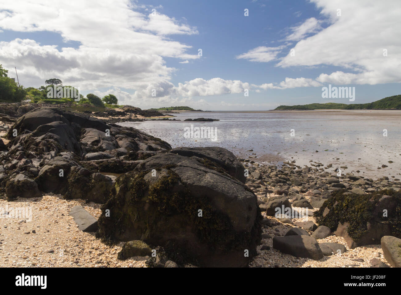 Cockle beach hi-res stock photography and images - Alamy