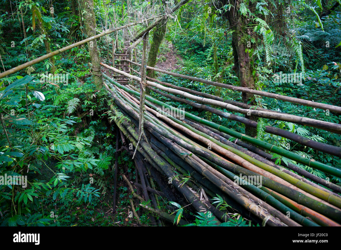 Millenium cave hi-res stock photography and images - Alamy