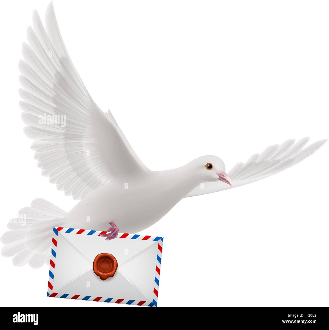 write, wrote, writing, writes, art, animals, pets, birds, wing, freedom ...