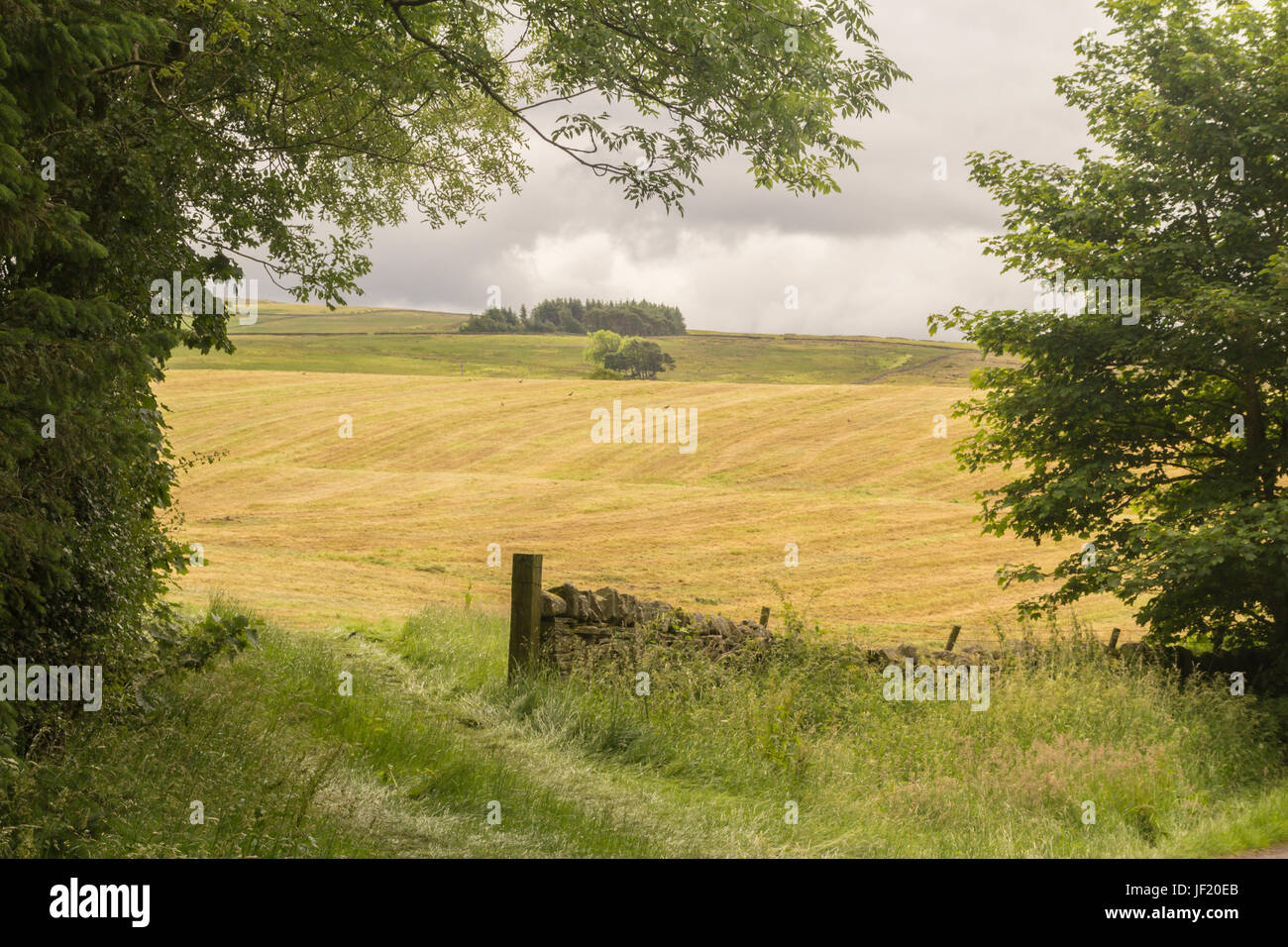 Gateway into harvested field Stock Photo - Alamy