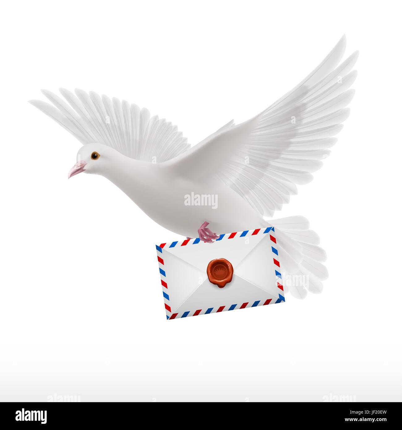 write, wrote, writing, writes, art, animals, pets, birds, wing, freedom ...