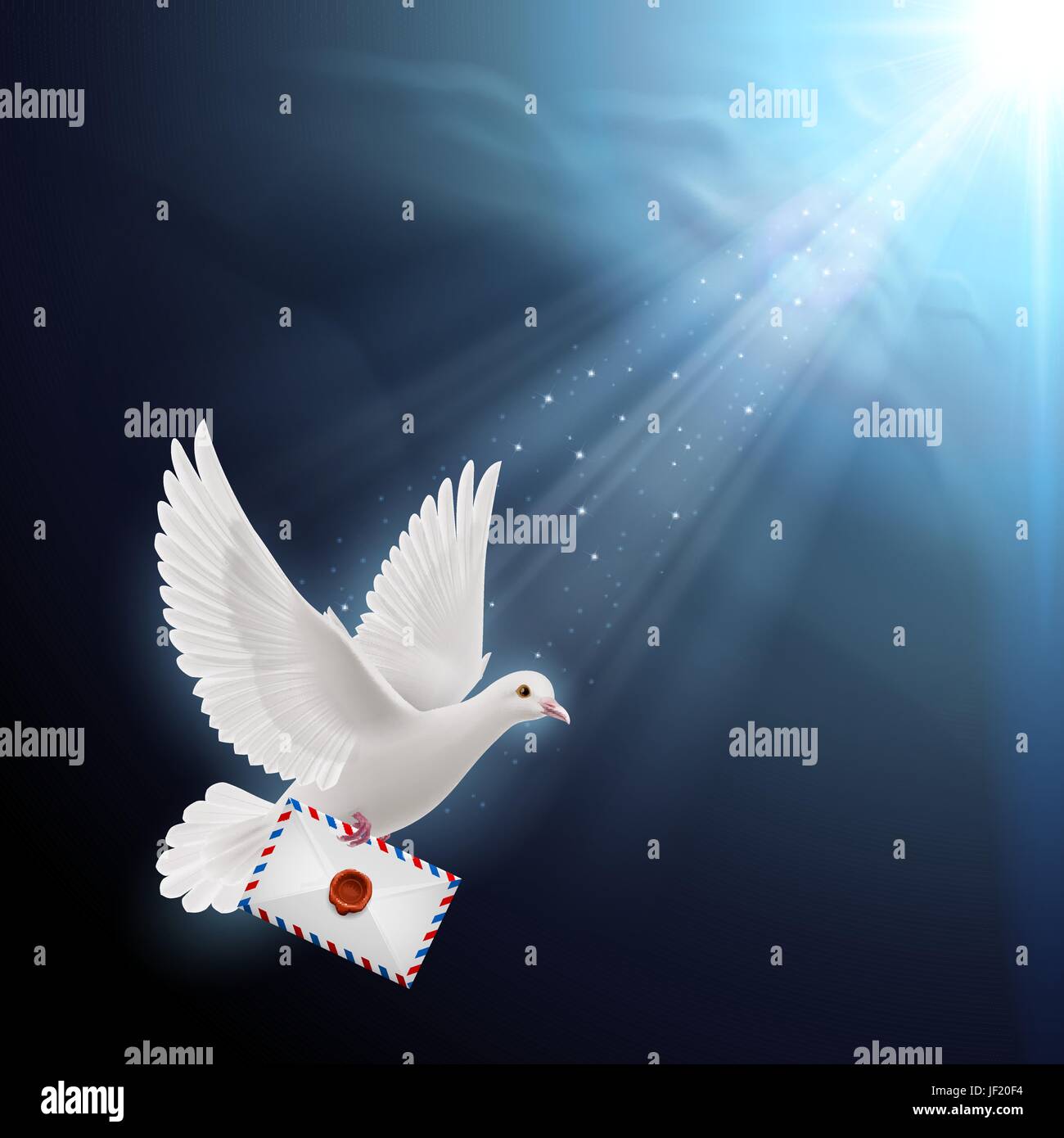 write, wrote, writing, writes, art, animals, pets, birds, wing, freedom ...