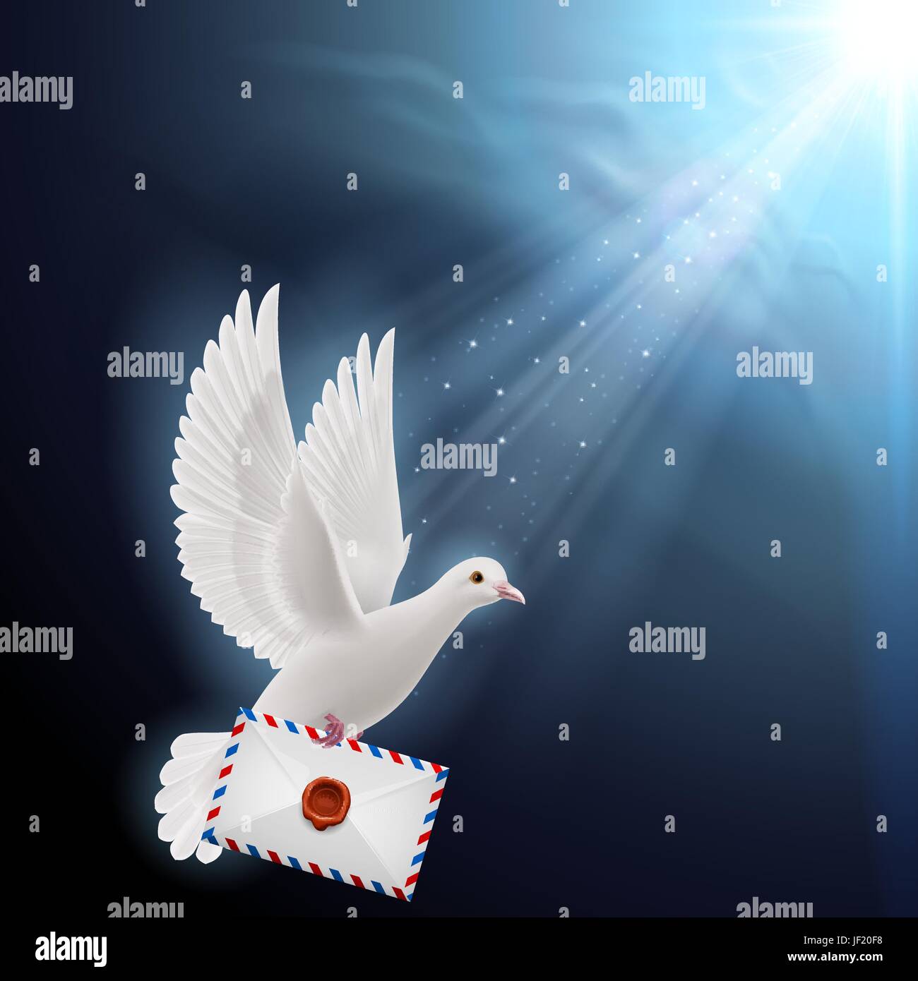 write, wrote, writing, writes, art, animals, pets, birds, wing, freedom ...