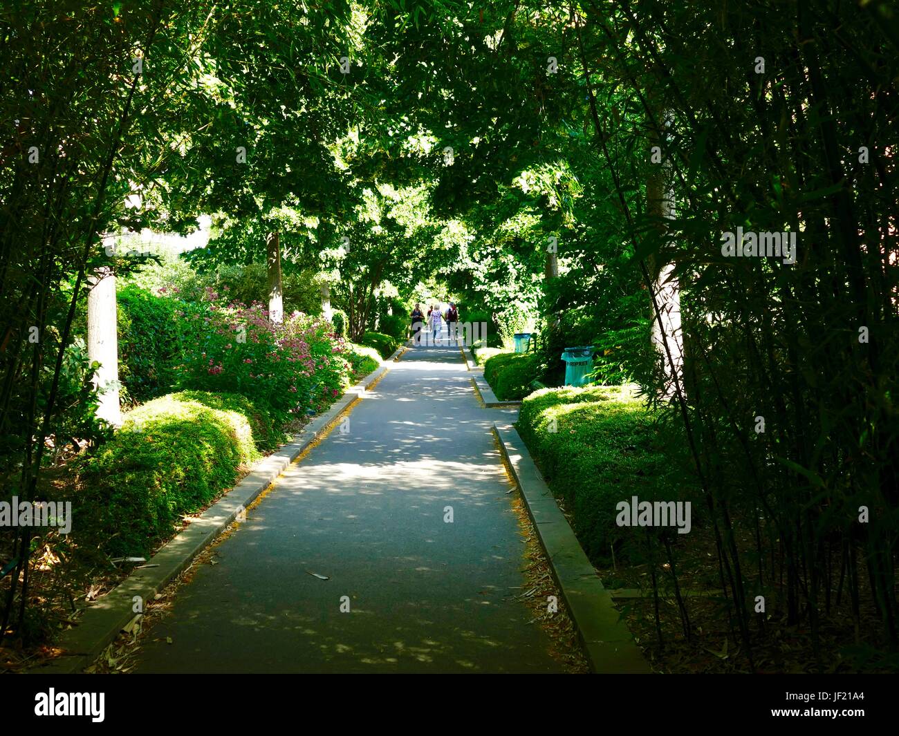 People exercising on a shady section of the Promenade Plantée, leafy ...