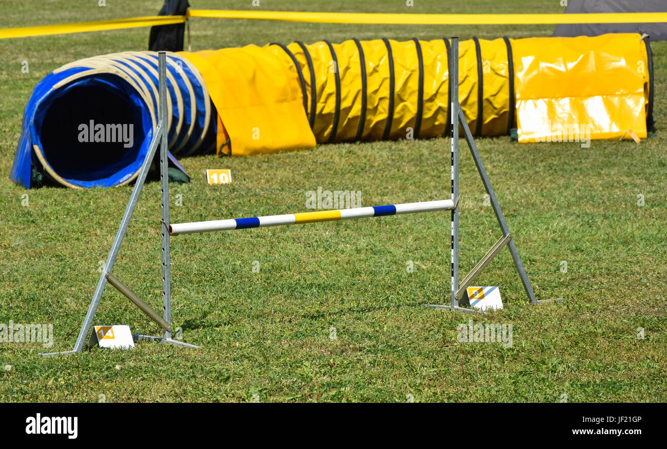 Hurdle gate and tunnel of the dog agility contest Stock Photo - Alamy