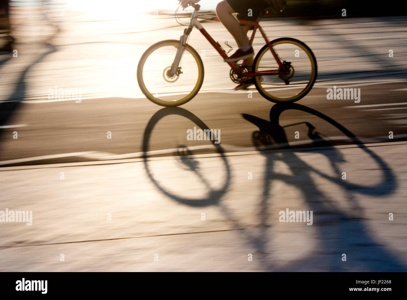 Blurry cyclist silhouette and shadow on a bike path in sunset, panning ...
