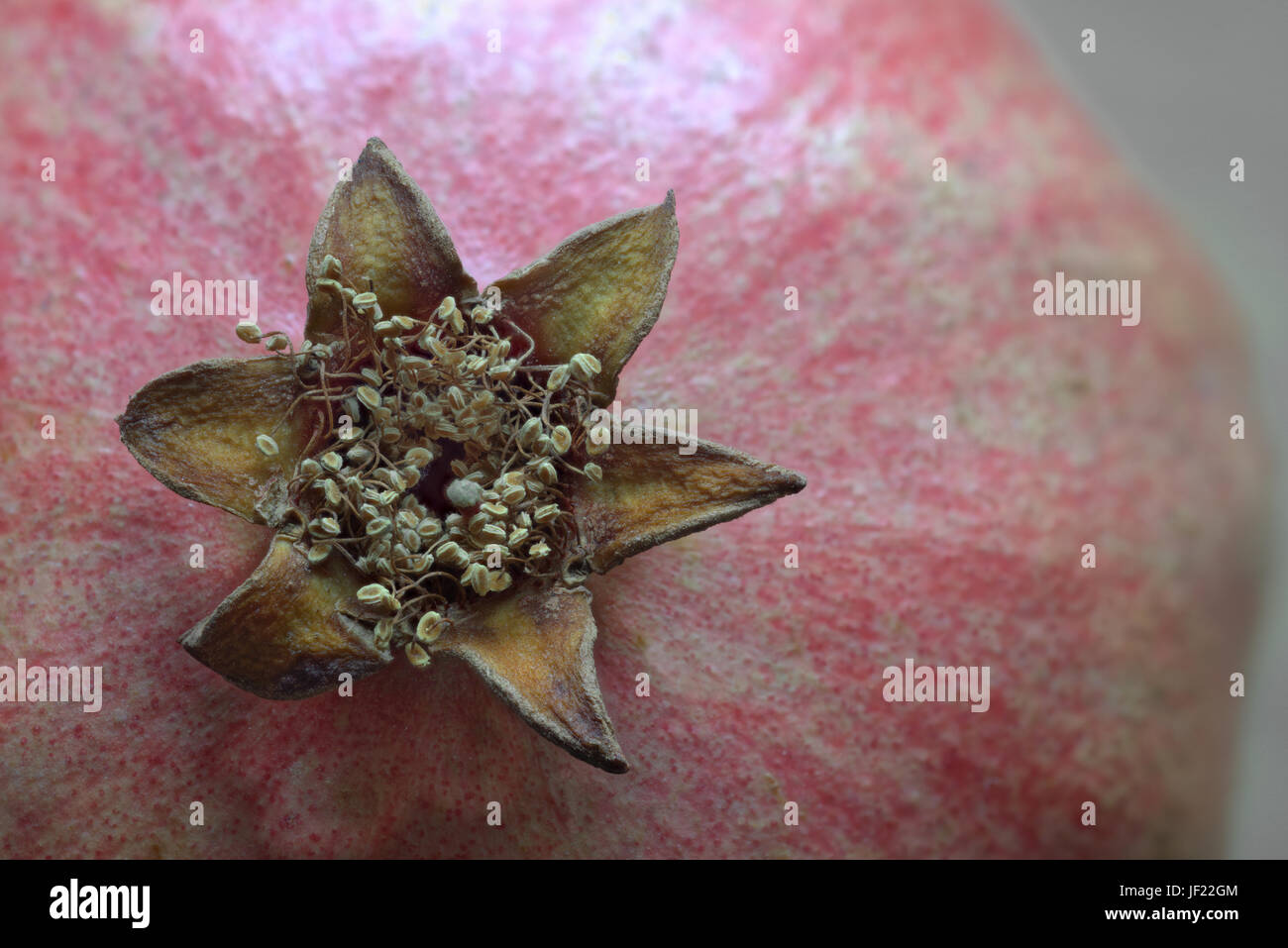 Clse up close up hi-res stock photography and images - Alamy