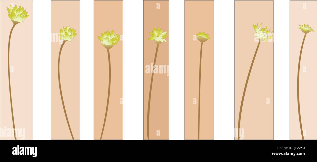 colour, model, design, project, concept, plan, draft, graphic, flower ...