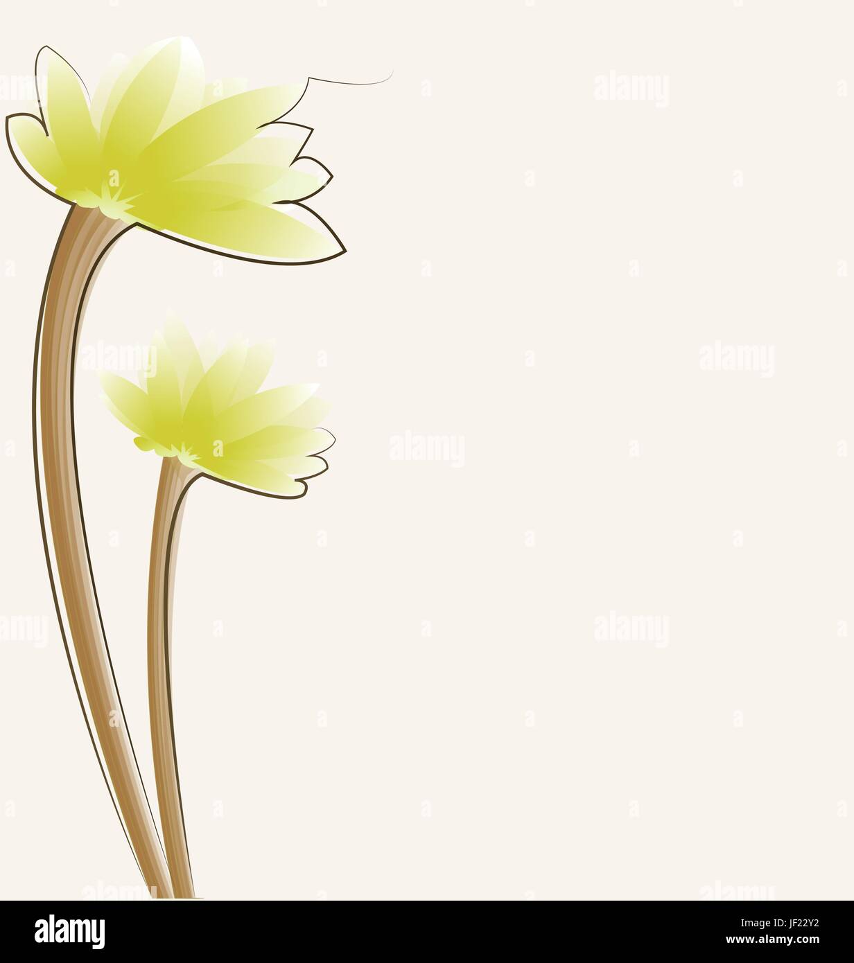 colour, model, design, project, concept, plan, draft, graphic, flower ...