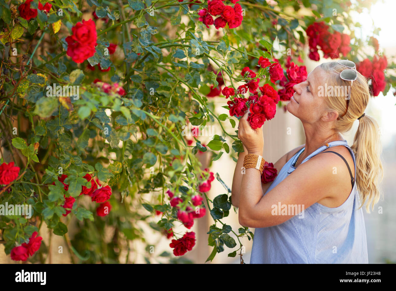 Woman smelling rose Stock Photo - Alamy