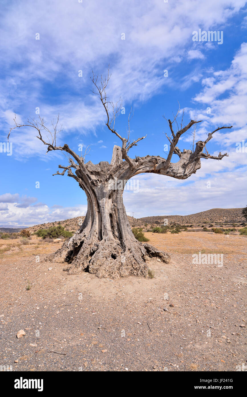 Dry Desert Landscape Stock Photo - Alamy