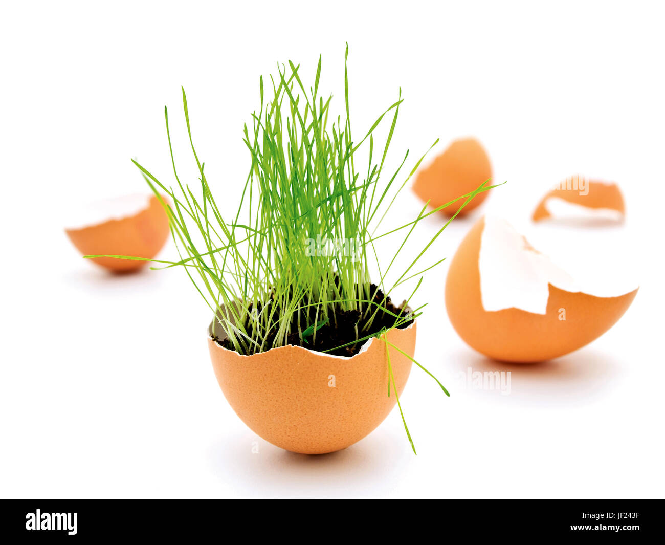 Grow symbol hi-res stock photography and images - Alamy