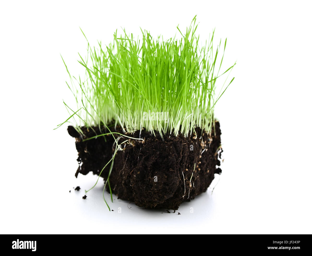 Grass soil Cut Out Stock Images & Pictures - Alamy