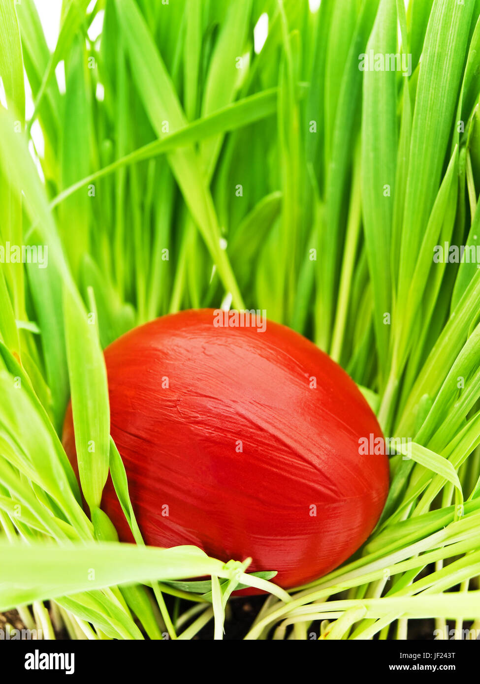 Easter Egg In Grass Stock Photo - Alamy