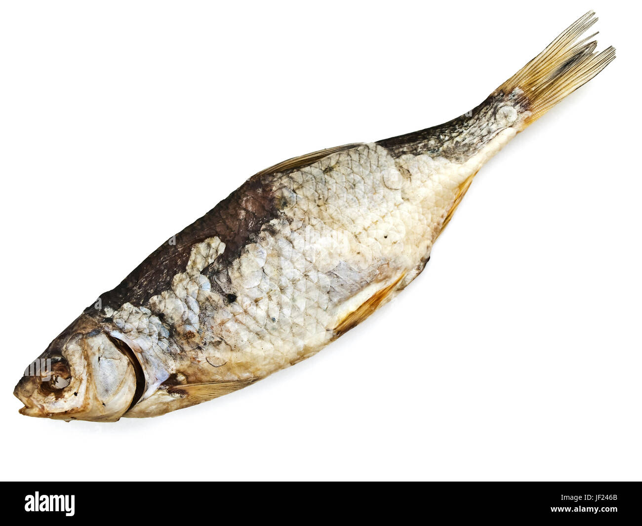 Caspian white fish hi-res stock photography and images - Alamy