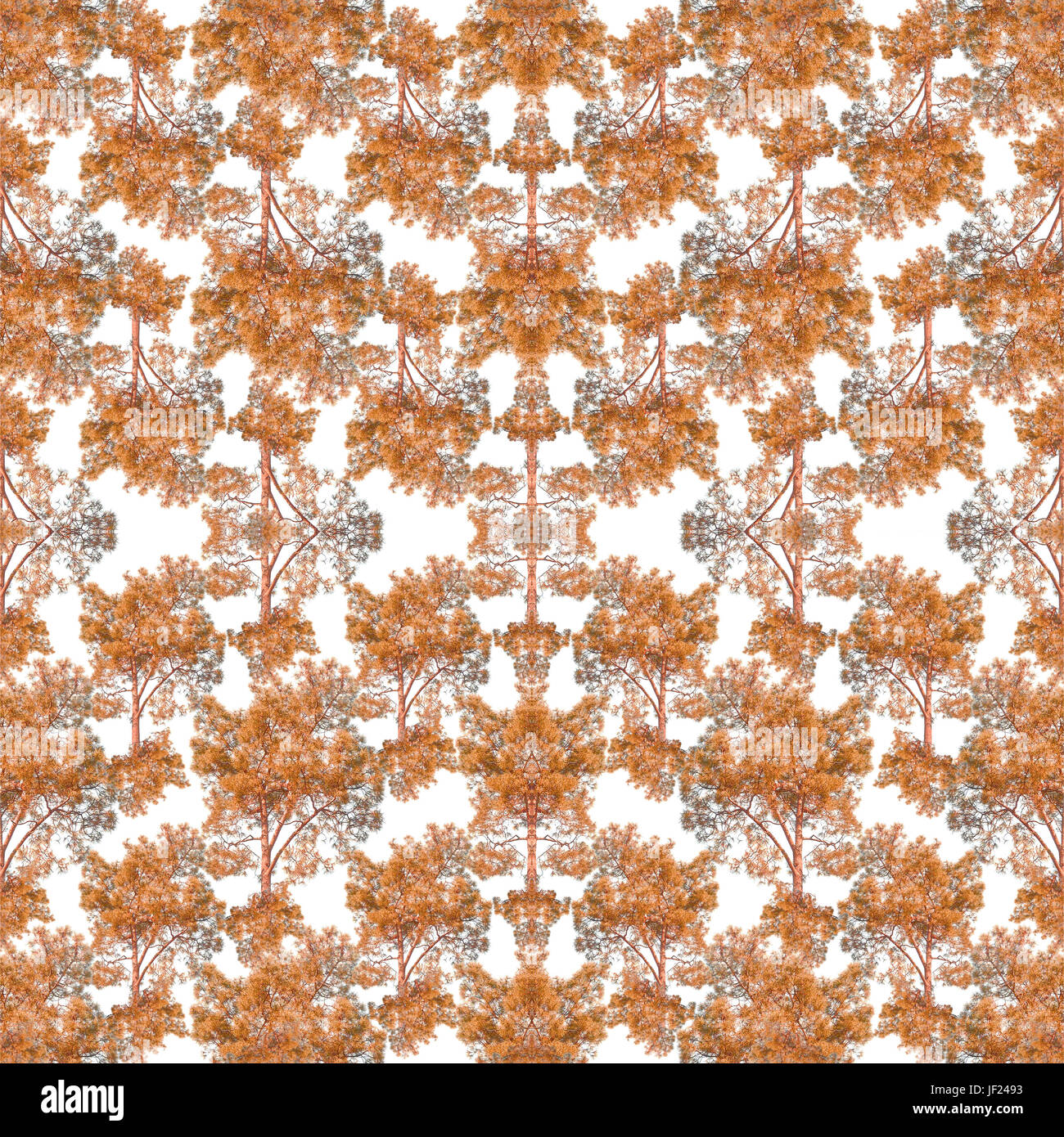 Nature Collage Seamless Pattern Stock Photo - Alamy
