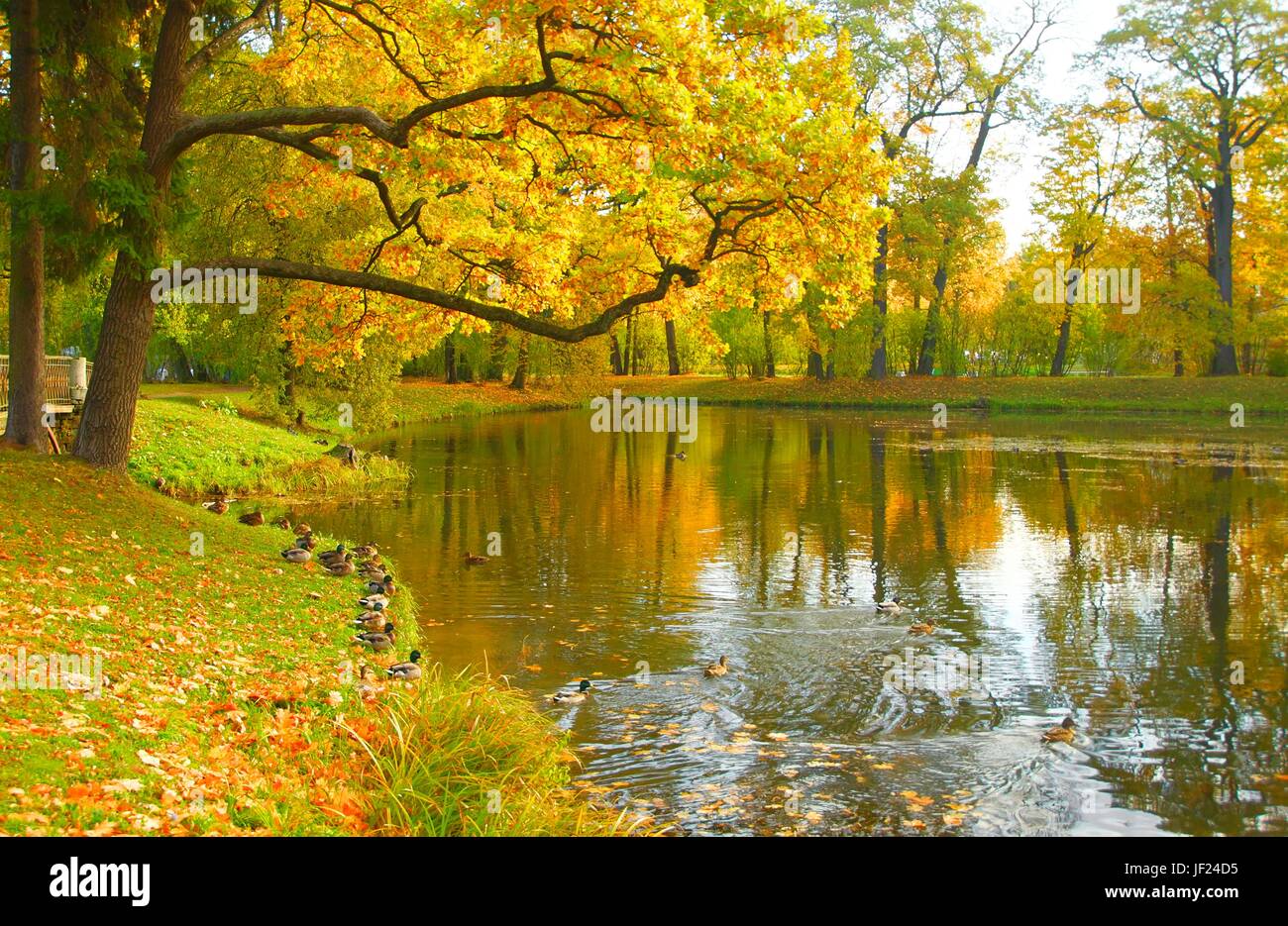 Alexander park hi-res stock photography and images - Alamy