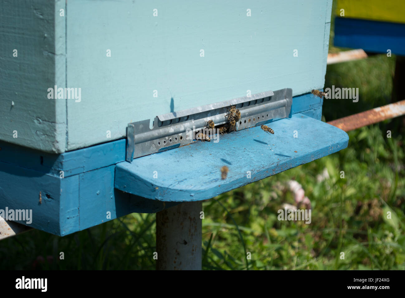Closup of honeycomb Stock Photo - Alamy