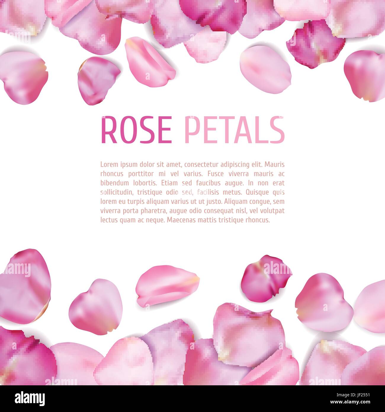 Pink Rose petals border Stock Vector Image & Art - Alamy