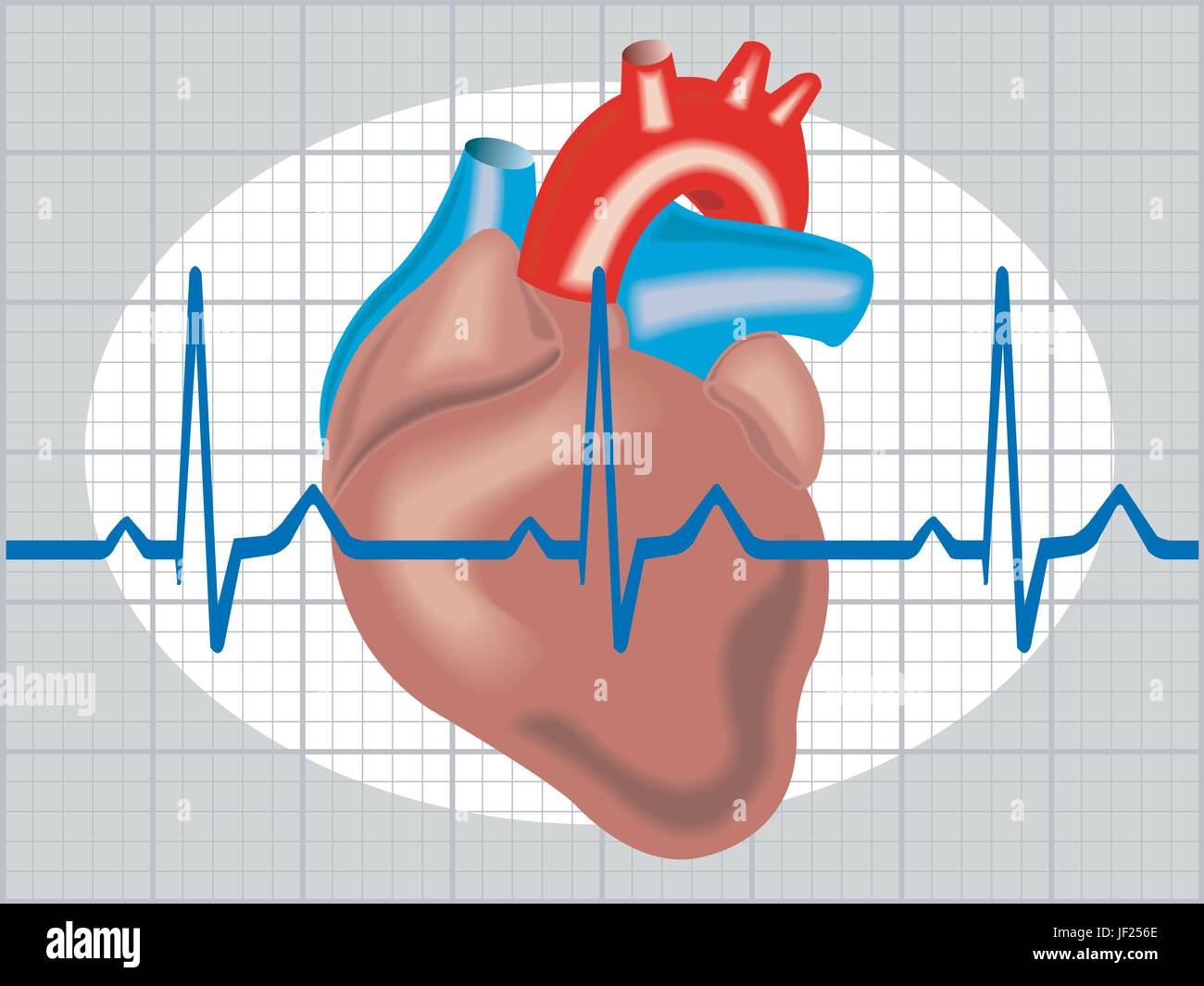heart, beat, hit, heart, blood, bogus, dizziness, rhythm, disease ...