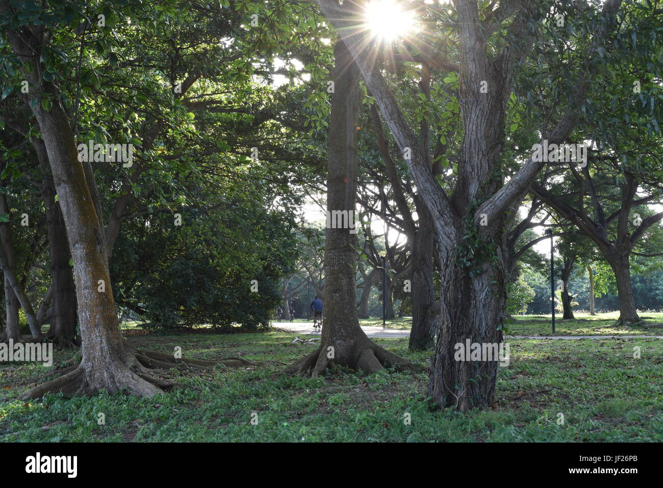 Bright day outdoors Stock Photo - Alamy