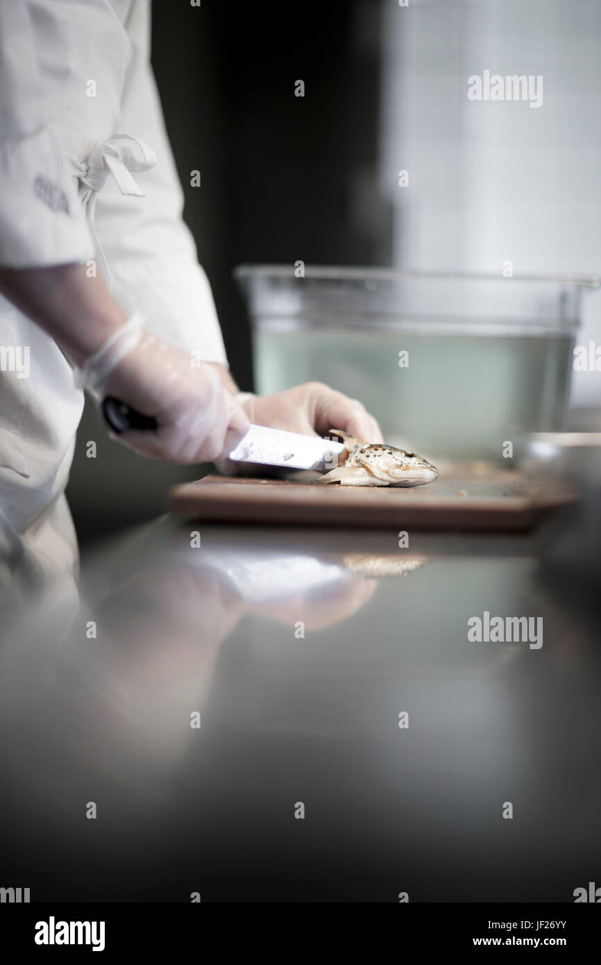 Chef cutting fish Stock Photo - Alamy