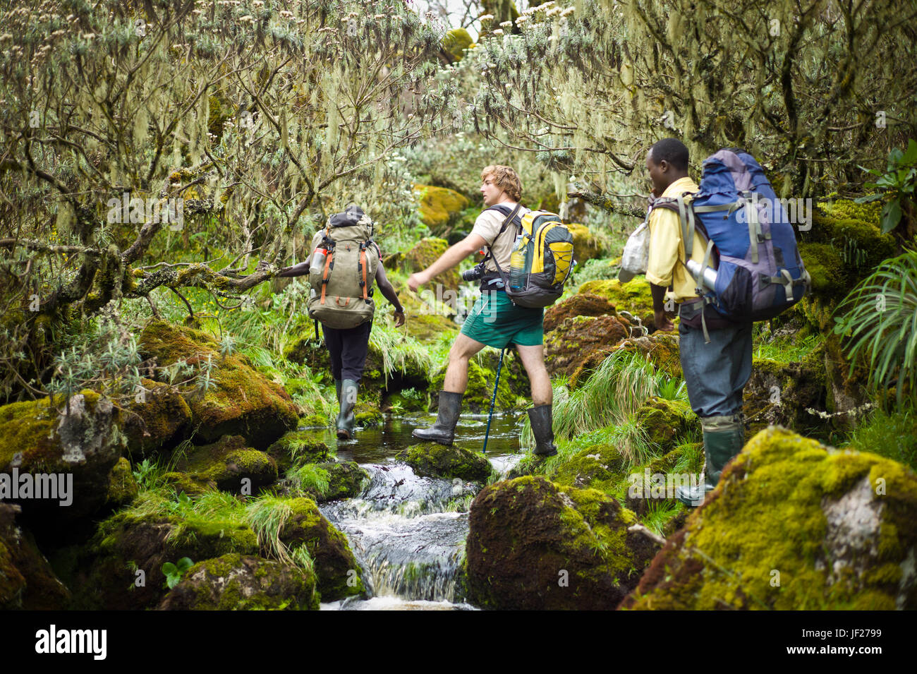 Heather porter hi-res stock photography and images - Alamy