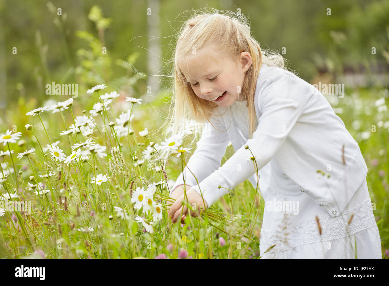 Girl picking flowers on meadow Stock Photo - Alamy