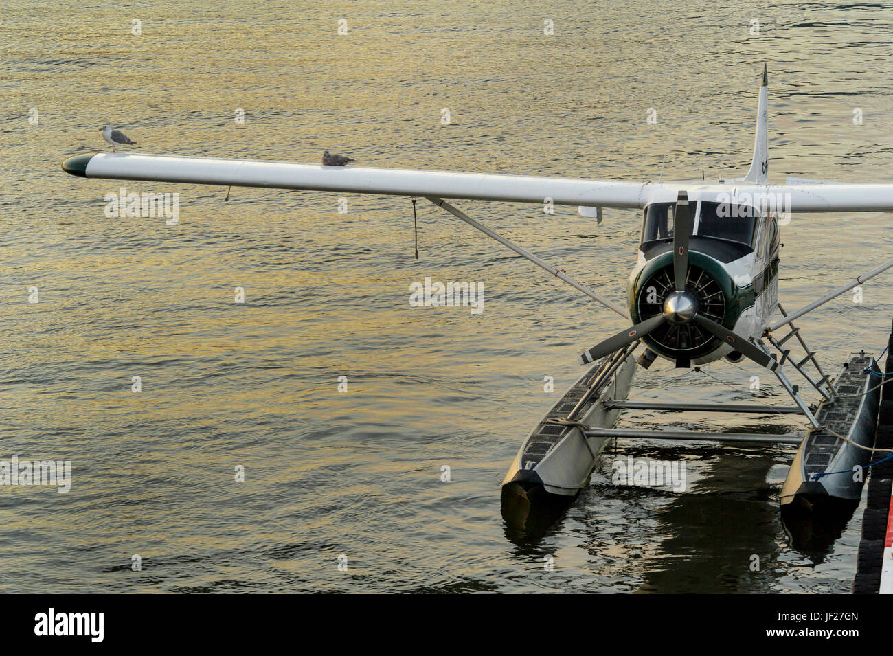 Hydroplanes hi-res stock photography and images - Alamy