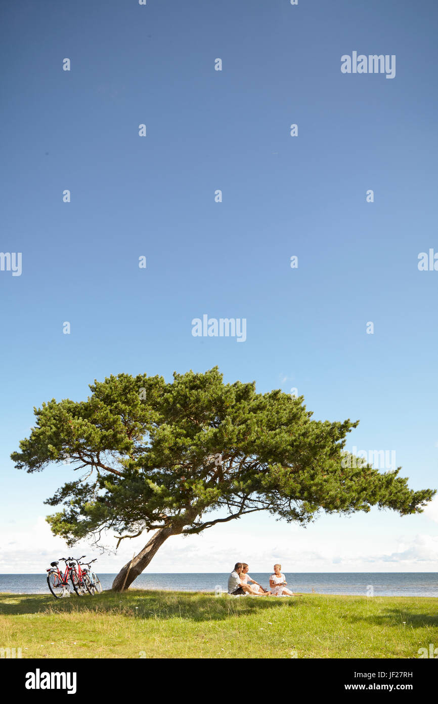 Family sitting under tree Stock Photo - Alamy