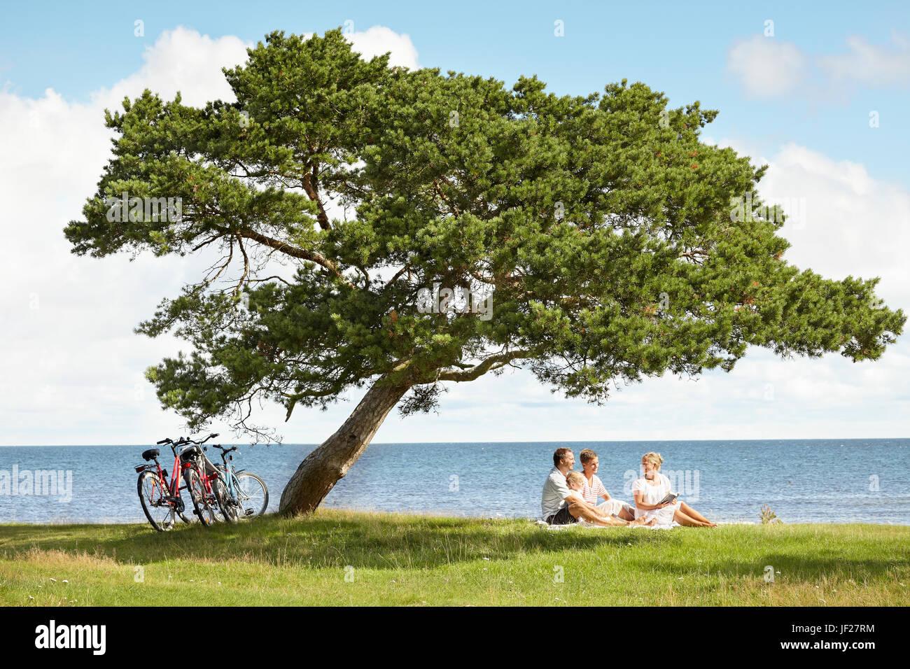 Family resting under tree Stock Photo - Alamy