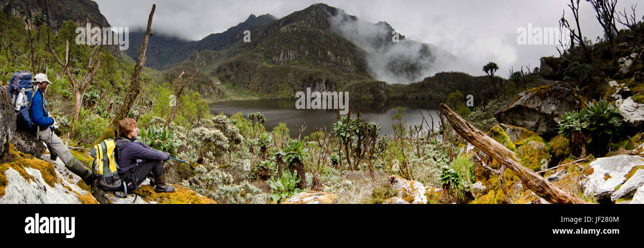 Rwenzori mountains hi-res stock photography and images - Alamy