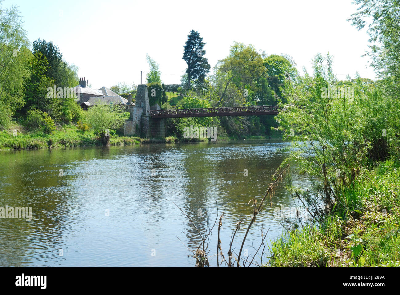 River teviot scotland borders hi-res stock photography and images - Alamy
