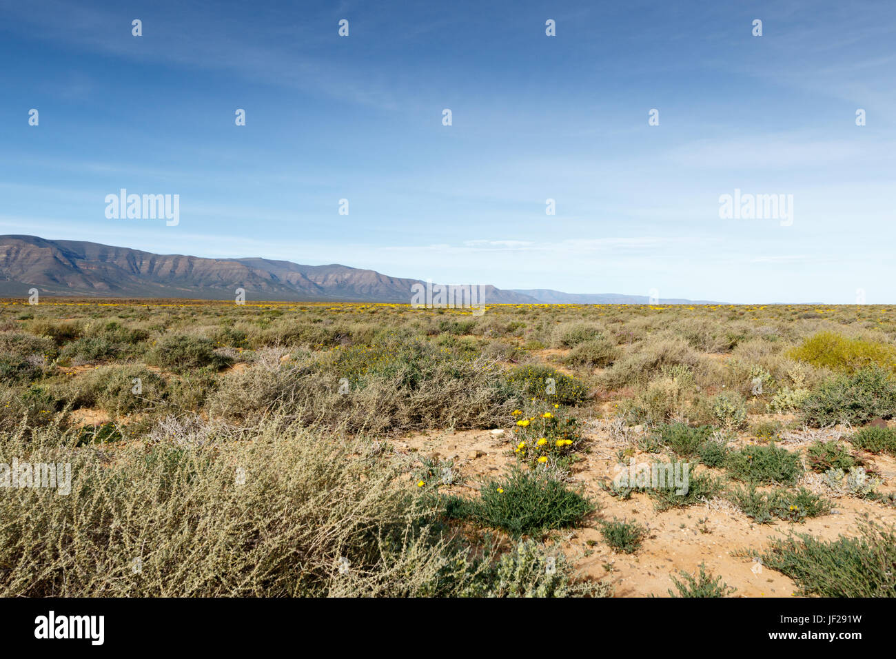 Tankwa karoo national park south afri hi-res stock photography and ...