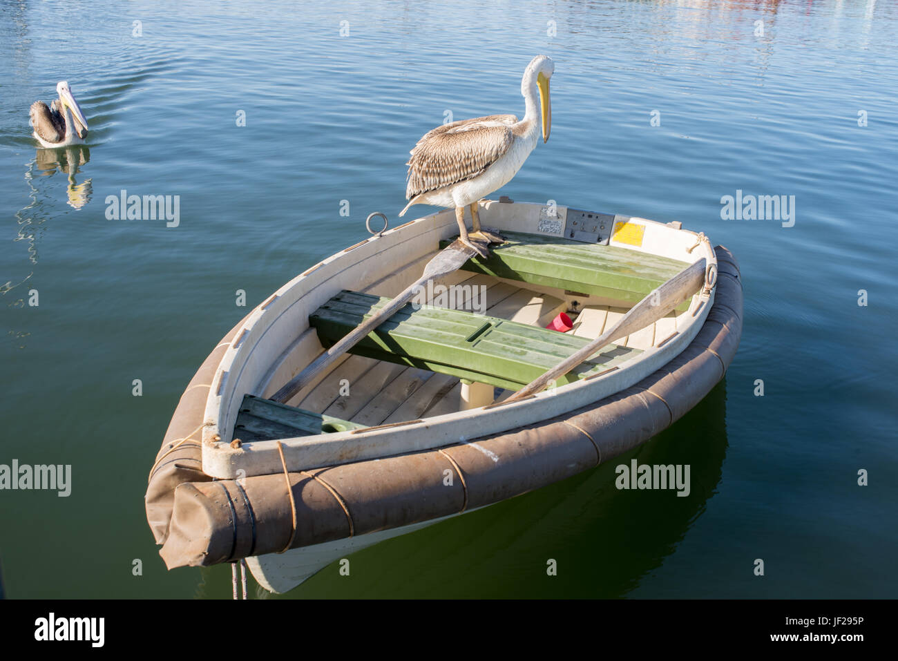 Dingy brown hi-res stock photography and images - Alamy